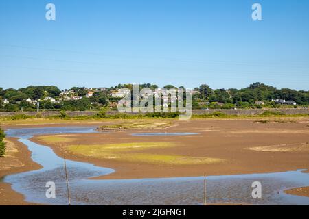 Low tide in July in Hayle Estuary, Cornwall Stock Photo - Alamy