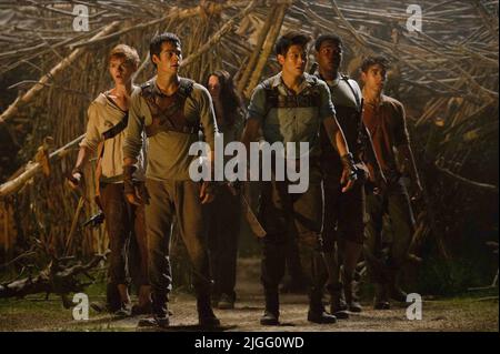 DYLAN O'BRIEN, JACOB LATIMORE, KAYA SCODELARIO, THOMAS BRODIE-SANGSTER ...
