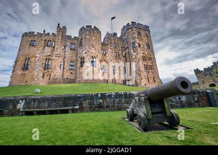Alnwick Castle, Northumberland attraction and filming location for ...