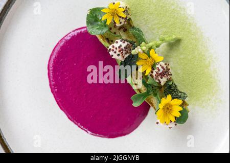 Plant based vegan dessert. Creative presentation of food Stock Photo ...