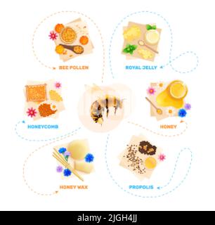 Beekeeping infographics with honey products and bee breeding graphs ...