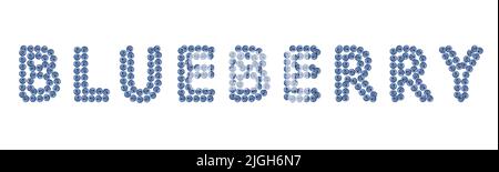 Word BLUEBERRY made from fresh blue berries isolated on white Stock ...