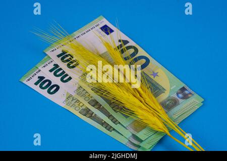 Euro banknotes with flour and wheat ears on wicker tray concept Stock ...