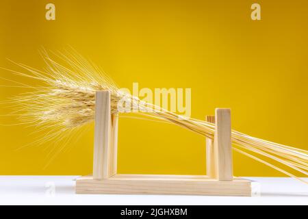 Barley stand on a grain field near Deersheim, Germany, Wednesday, June ...