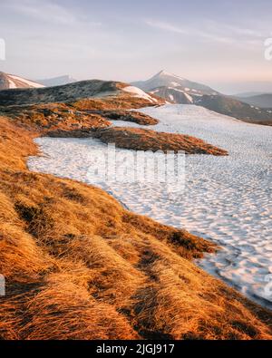 View of the grassy hills with orange tussocks and snowy mountains on ...