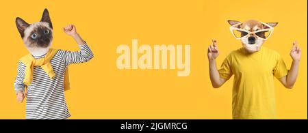 Dancing Thai cat with human body on yellow background Stock Photo - Alamy