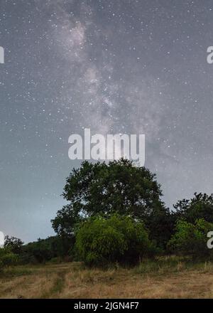 Dramatic dark silhouette of an old oak tree with dry branches with blue ...