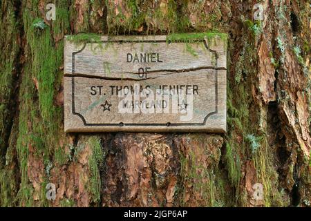 Signer marker along Constitution Grove Trail, North Fork of the Middle ...