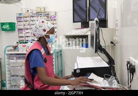 An NHS nurse in scrubs checks a patients records in an operating ...