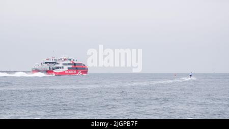 Helgoland, Germany. 12th July, 2022. A seagull takes off in the harbor ...