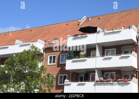 Kastrup/Copenhagen/Denmark/12 July 2022/Danish caodos nd flowers ...