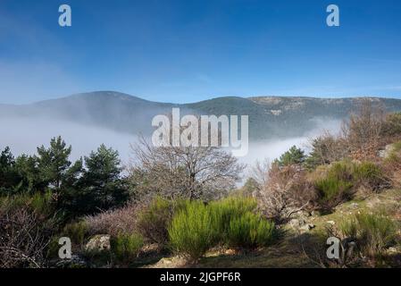 Sea of clouds in Fuenfria Valley, municipality of Cercedilla, province ...