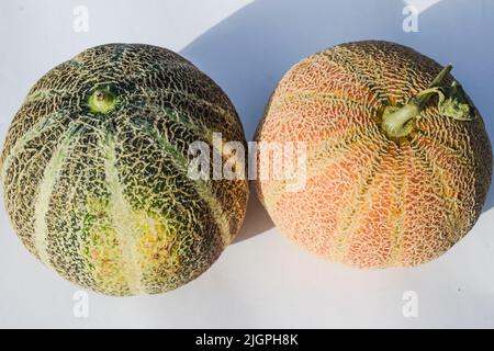 Indian muskmelon fruit also known as Cantaloupe. Healthy organic fruit ...
