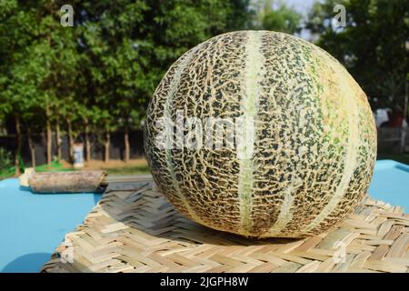 Indian muskmelon fruit also known as Cantaloupe. Healthy organic fruit ...