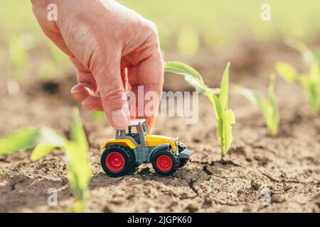 Female hand holding miniature toy Christmas tree through a hole in red ...