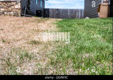 Visible distinction between healthy lawn and chemical burned grass ...