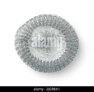 Closeup of a steel cleaning sponge on a white background Stock Photo ...