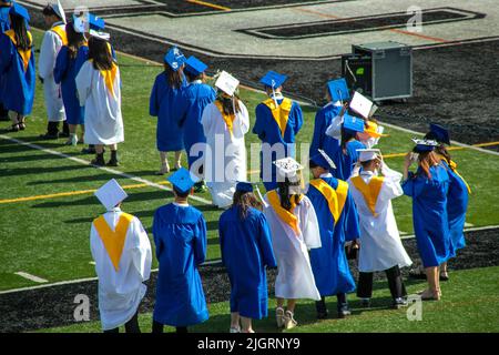 Wearing graduation caps and gowns, multiracial Harvard University ...