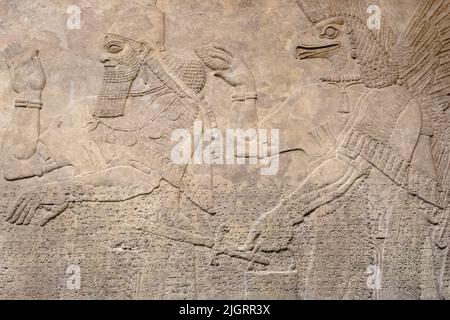 Assyrian reliefs displayed at the British Museum in London, England ...