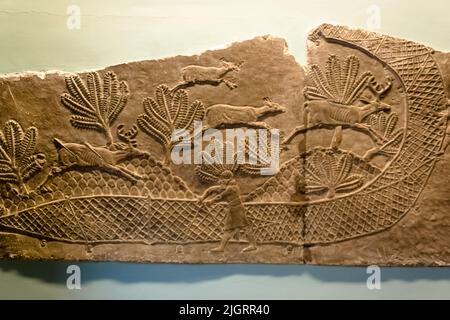 Assyrian reliefs displayed at the British Museum in London, England ...
