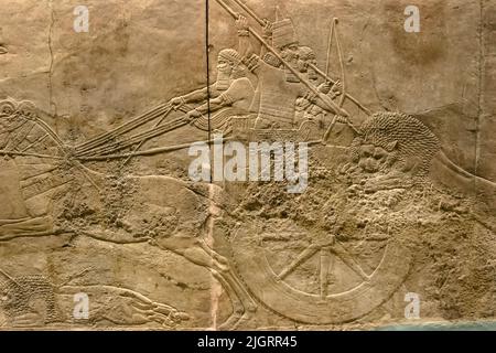 Assyrian reliefs displayed at the British Museum in London, England ...