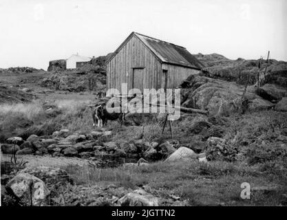 Written on the back: Naust on Utsira 20/8 1967 Photographer: Henning ...