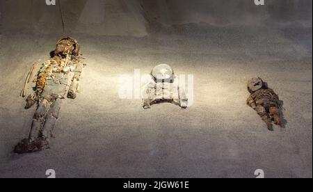 An exhibit of ancient artifacts of the Chinchorro culture in the San ...