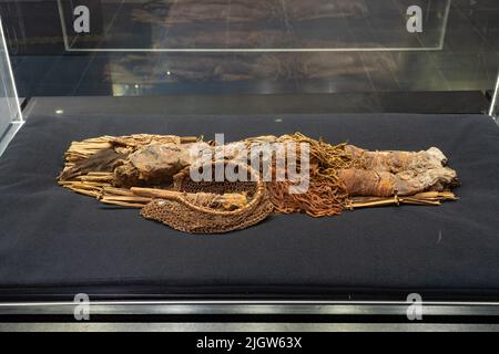 Mummy of an infant from of the Chinchorro culture in the San Miguel de ...