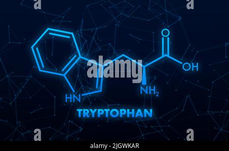 Tryptophan formula. Tryptophan or l-tryptophan, Trp, W amino acid molecule Stock Vector Image ...