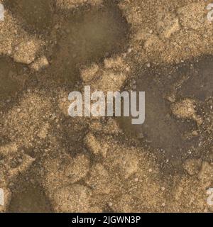 3D Realistic dirt ground with rocks and puddles rendered texture ...