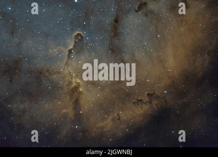 The Elephant's trunk nebula (IC 1396a), within the constellation ...