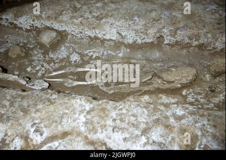 6 june 2021 - Europe, Italy, Sardinia, Porto Torres, Roman era ...