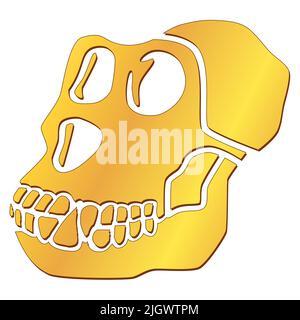 Bored ape NFT isolated on white background. Non fungible token ...
