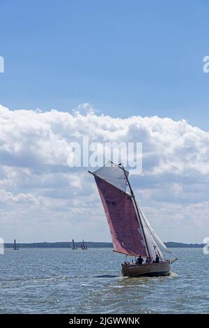 Zeesenboot Regatta, Wustrow, Saaler Bodden, Mecklenburg-West Pomerania ...