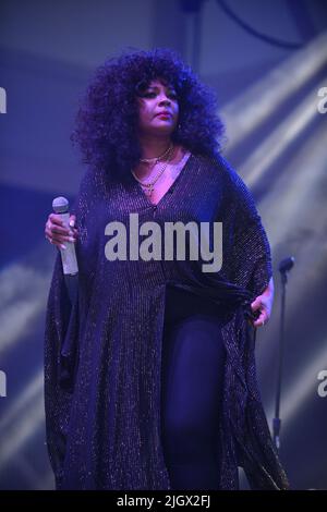 MIRAMAR, FL - JULY 10: Syleena Johnson performs live on stage during ...