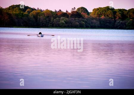 Lough Ramor in County Cavan, Virginia, Ireland Stock Photo - Alamy