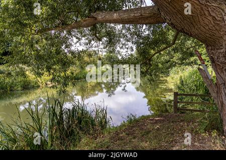 River Nene at Wadenhoe Lock Stock Photo - Alamy