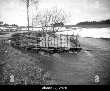 Spring River in Samnan, Vaksala parish, Uppland in 1922. Spring River ...