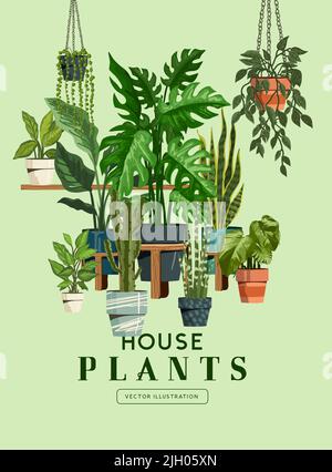 Indoor Hanging and Potted Plants Vector Set Stock Vector Image & Art ...