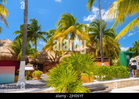 Bungalows in the shadow of cocos palms on the beach, Isla Mujeres ...
