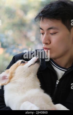 Young man with cute Corgi dog on brown background Stock Photo - Alamy