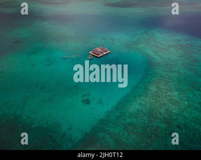 Aerial view of the Tanon Strait just off the cost of Moalboal, an area ...