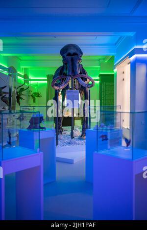 Kemerovo, Russia - May 3, 2022: Archeological exhibition in Kuzbass ...