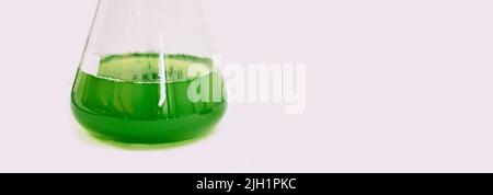 Algae research in laboratories, biotechnology science concept, marine ...