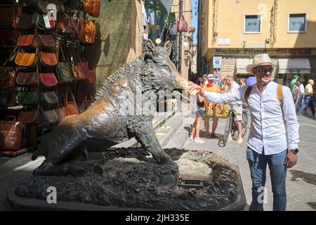 Florence. Il Porcellino. Statue of the wild boar. Rubbing his nose is ...