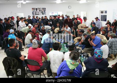 Dene men drumming and playing traditional hand games in the northern ...