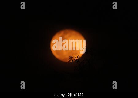 The full Moon on a poya day in Sri Lanka Stock Photo - Alamy