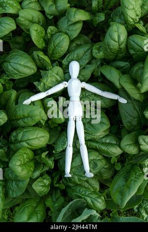 Wooden mannequin on lettuce leaves. Harvesting. Selective focus Stock ...