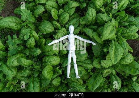 Wooden mannequin on lettuce leaves. Harvesting. Selective focus Stock ...