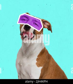 Contemporary art collage. Cheerful happy boy, child hanging on little ...